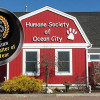 Humane Society of Ocean City - New Jersey - Adoptions, Veterinary Services